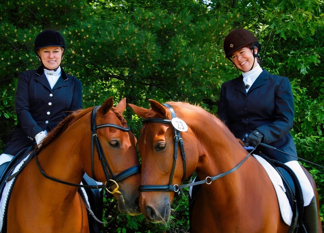 Home - Gaited Horses of New England