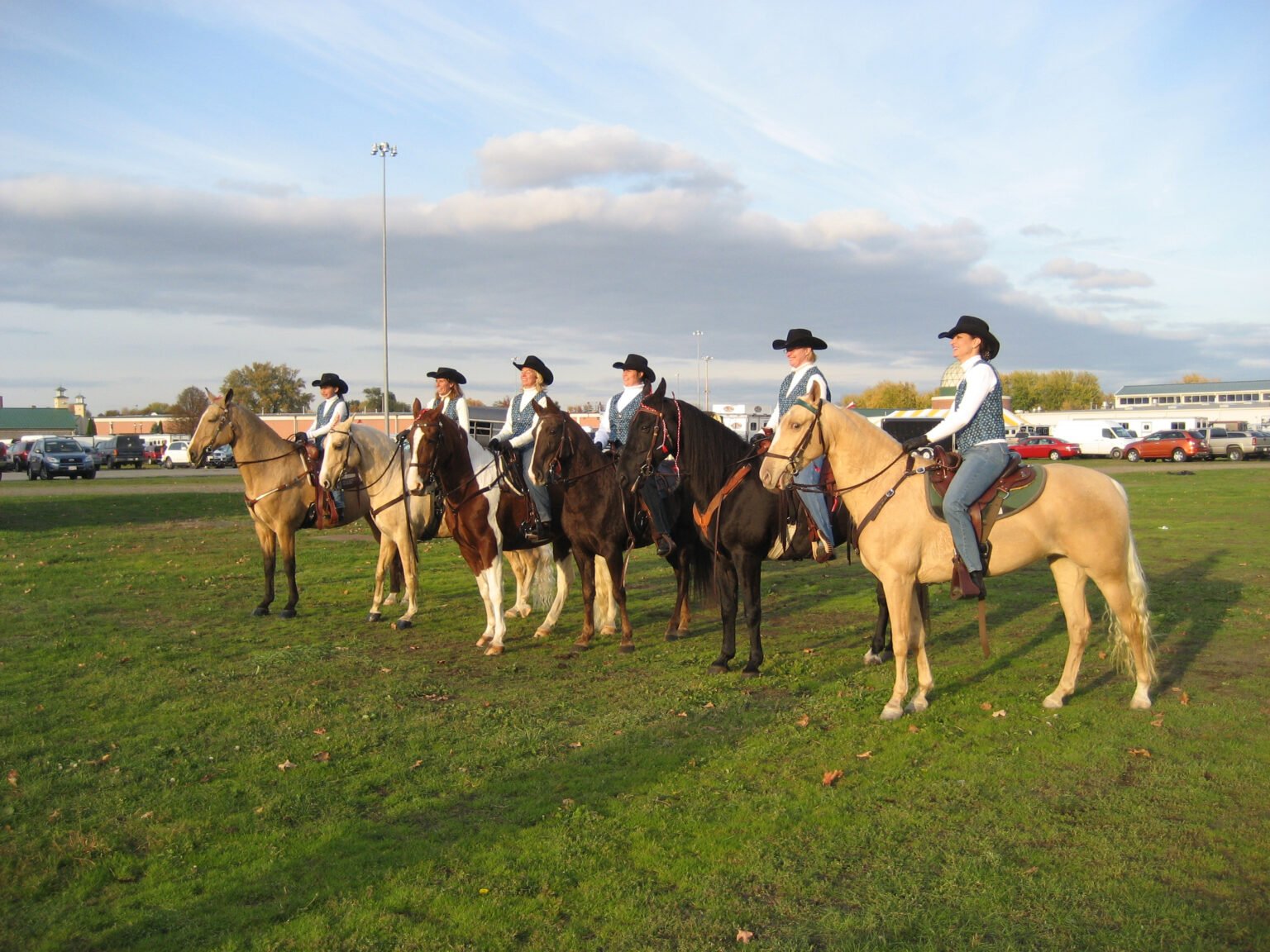 Home - Gaited Horses of New England